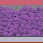 Member Berries Meme Generator - Imgflip