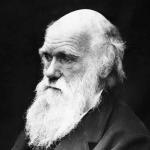 Darwin Meme Generator - Imgflip