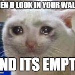 Sad cat Meme Generator - Imgflip