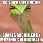 Skeptical snake Meme Generator - Imgflip