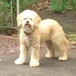 Ruby Meme Generator - Imgflip