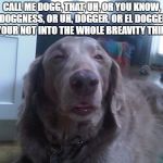 High Dog Meme Generator - Imgflip