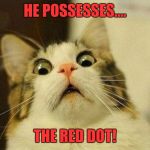 Scared Cat Meme Generator - Imgflip