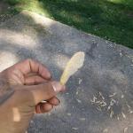 Original Fidget Spinner Meme Generator - Imgflip