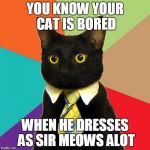 Business Cat Blank Meme Template - Imgflip