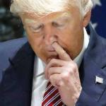 Cheetolini Meme Generator - Imgflip