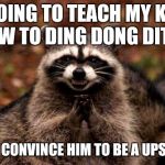 Evil Plotting Raccoon Meme Generator - Imgflip