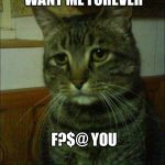 Depressed Cat Blank Meme Template - Imgflip