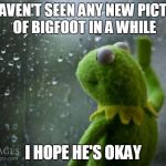 kermit window Meme Generator - Imgflip