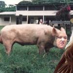 Rosie Meme Generator - Imgflip