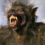 Werewolf Meme Generator - Imgflip