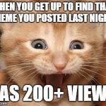 Excited Cat Meme Generator - Imgflip