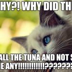 First World Problems Cat Meme Generator - Imgflip