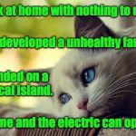 First World Problems Cat Meme Generator - Imgflip