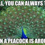 Peacock Meme Generator - Imgflip