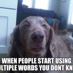 High Dog Meme Generator - Imgflip