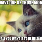 Sad cat Meme Generator - Imgflip