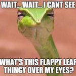 Skeptical snake Meme Generator - Imgflip