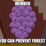 Member Berries Meme Generator - Imgflip