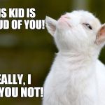 Proud baby goat Meme Generator - Imgflip