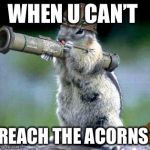 Bazooka Squirrel Meme Generator - Imgflip