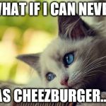 First World Problems Cat Blank Meme Template - Imgflip