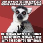 Chill Out Lemur Blank Meme Template - Imgflip