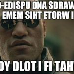 Matrix Morpheus Meme Generator - Imgflip