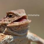 hue hue hue Meme Generator - Imgflip