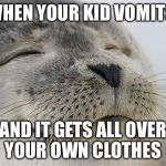 Satisfied Seal Meme Generator - Imgflip