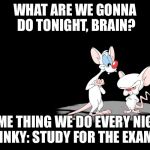 Pinky And The Brain Meme Generator - Imgflip