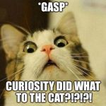 Scared Cat Meme Generator - Imgflip