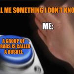 Blank Nut Button Meme Generator - Imgflip