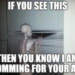 Skeleton Looking Out Window Meme Generator - Imgflip