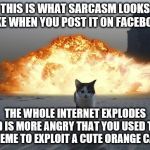 cat explosion Meme Generator - Imgflip