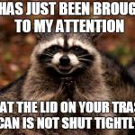Evil Plotting Raccoon Meme Generator - Imgflip