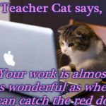 Cat using computer Meme Generator - Imgflip