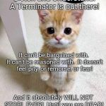 Cute Cat Meme Generator - Imgflip