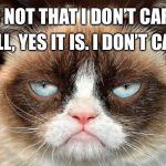 Grumpy Cat Not Amused Meme Generator - Imgflip