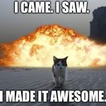 cat explosion Meme Generator - Imgflip
