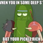 pickle rick Meme Generator - Imgflip