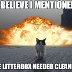 cat explosion Meme Generator - Imgflip
