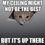 Ceiling Cat Blank Meme Template - Imgflip