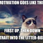 motivational grumpy cat Meme Generator - Imgflip