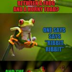 Frog Puns Meme Generator - Imgflip