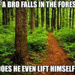 forest path Meme Generator - Imgflip