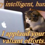 Cat using computer Meme Generator - Imgflip