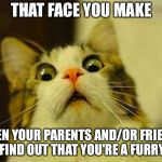 Scared Cat Meme Generator - Imgflip