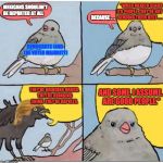 annoyed bird Meme Generator - Imgflip