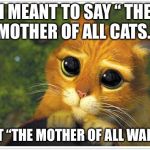 Shrek Cat Meme Generator - Imgflip